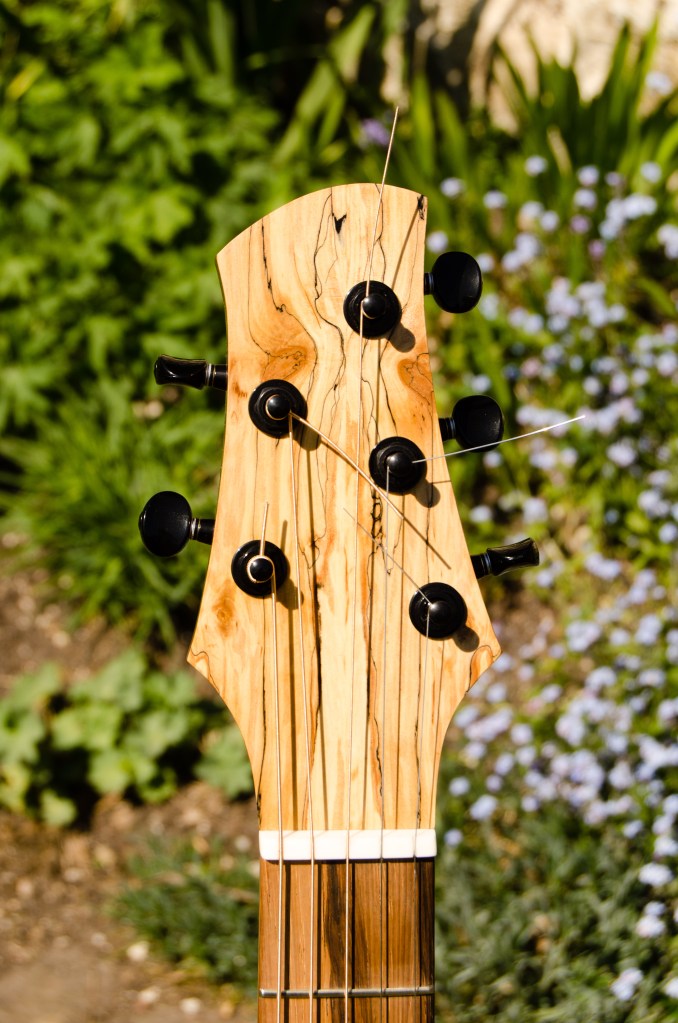 5 string guitar | Finely Strung