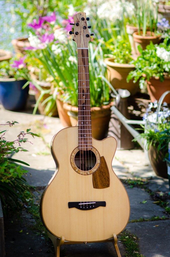 5 string guitar | Finely Strung