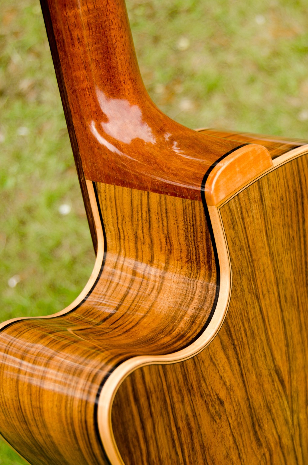 5 string guitar | Finely Strung